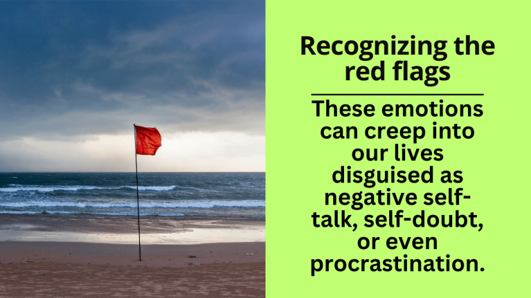 Taming the Toxic: Dethrone Blame and Shame for Growth and Wellbeing ...