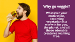 From Meatlover to Veggie Master: Your Guide to Vegetarian Bliss – Gay ...