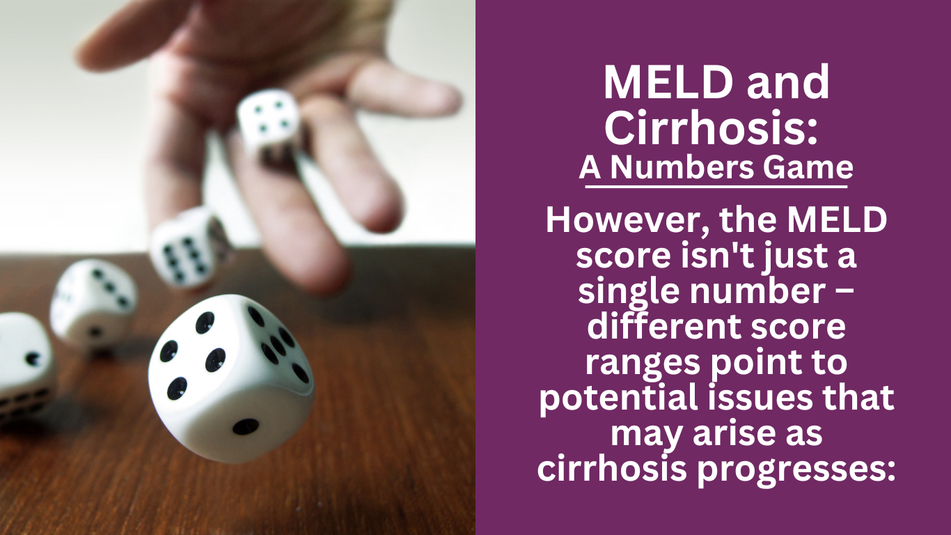 Living with Cirrhosis PT 3: Understanding Your MELD Score – Gay in the CLE