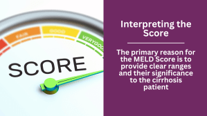 MELD Score: Understanding and How to Improve It – Gay in the CLE